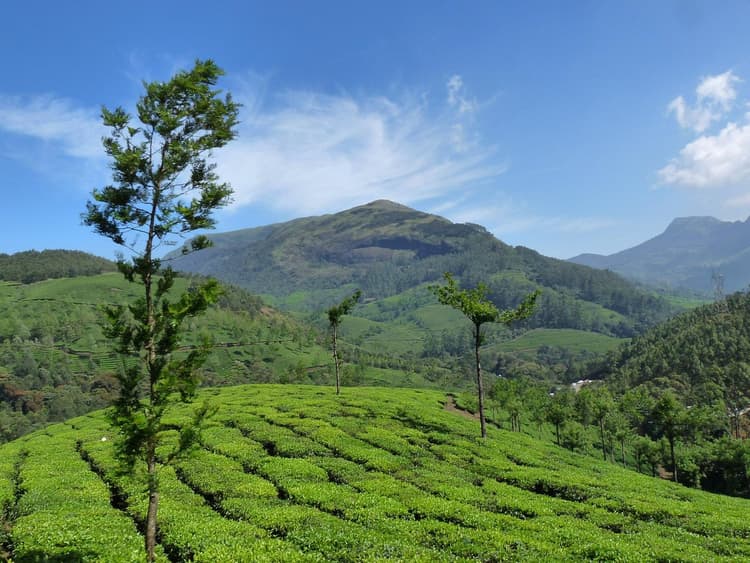 Anamudi, Kerala : The highest peak in South India