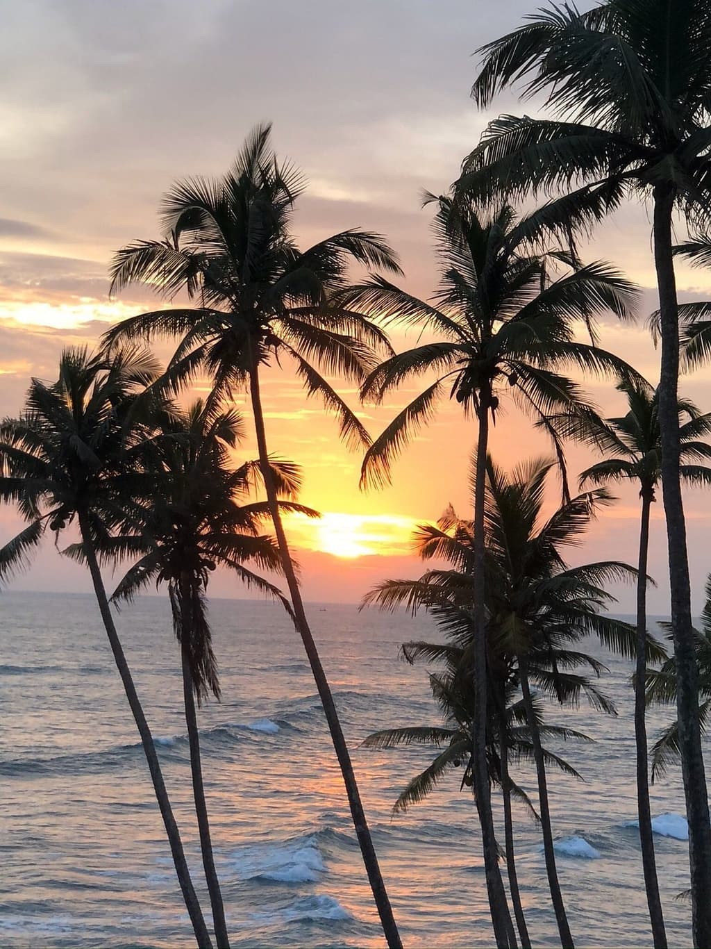 Coconut Tree Hill, Sri Lanka | Backpackers United